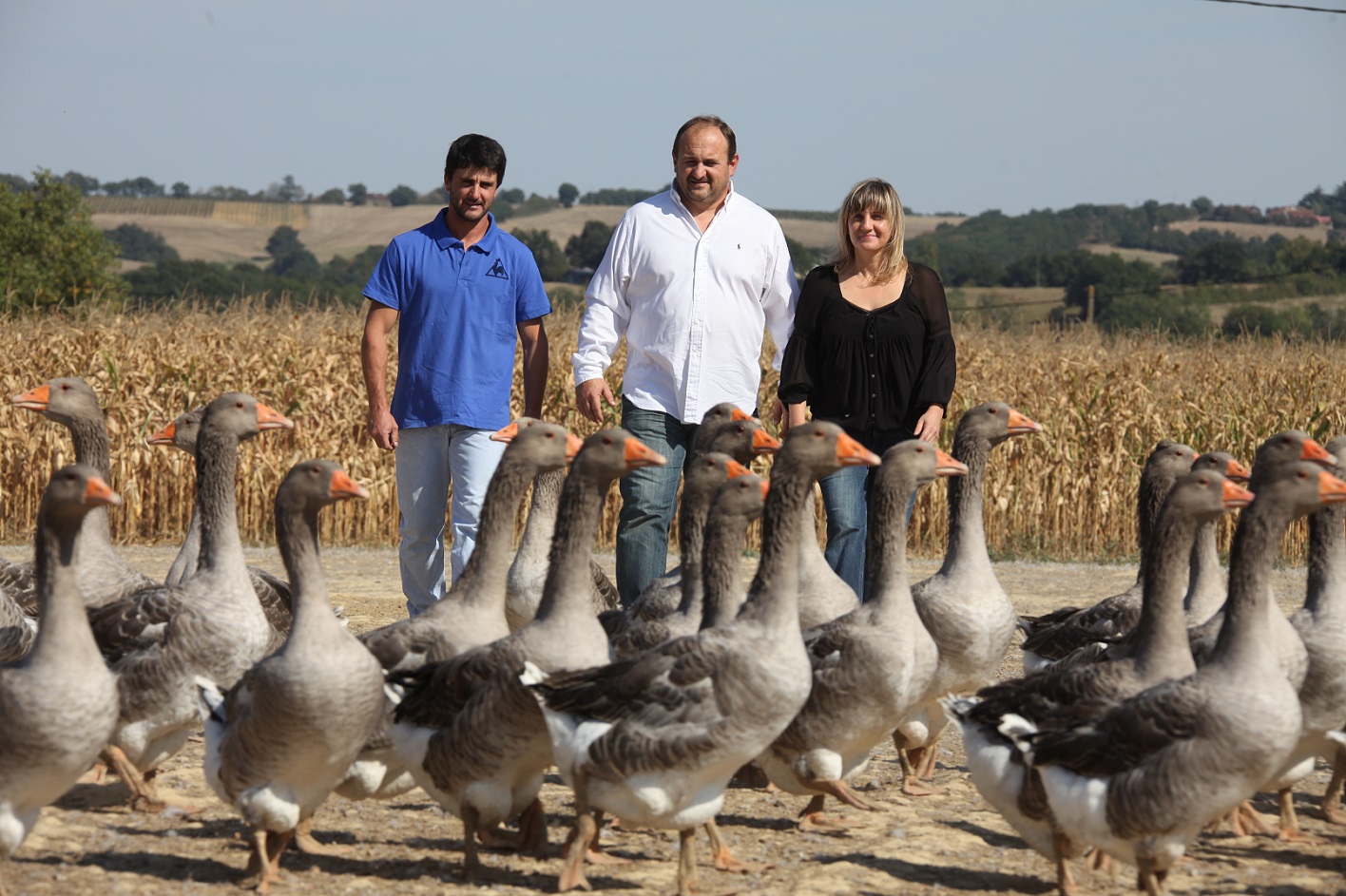 Le Comptoir de Tistou, when the Ramajo farm comes to the city - Grand ...