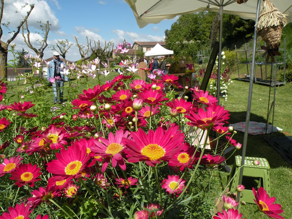 Les Créneaux Fleuris : marché aux fleurs - Auch Tourisme